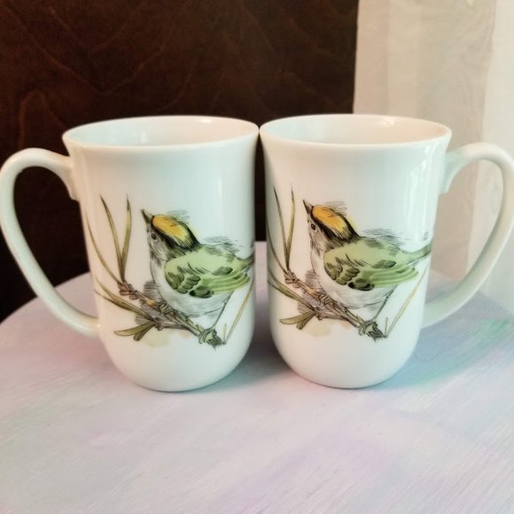 Vintage | Kitchen | Vintage 976 Enesco Fine China Song Bird Pattern 2 ...